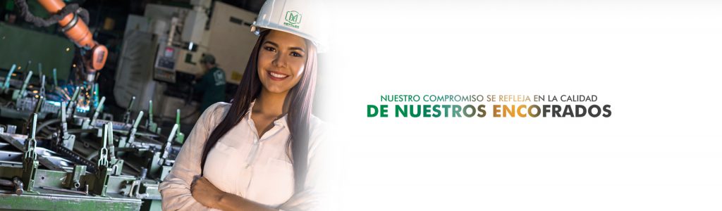 NUESTRA COMPAÑÍA - Metalex